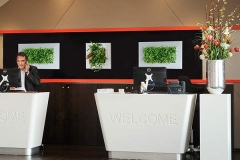 Suite Plants Live Picture Gallery