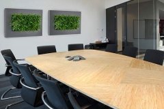 Suite Plants Live Picture Gallery