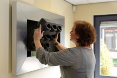 Suite Plants Live Picture Gallery